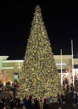 Tree Lighting Festivities Slated for Levis Commons - Toledo.com